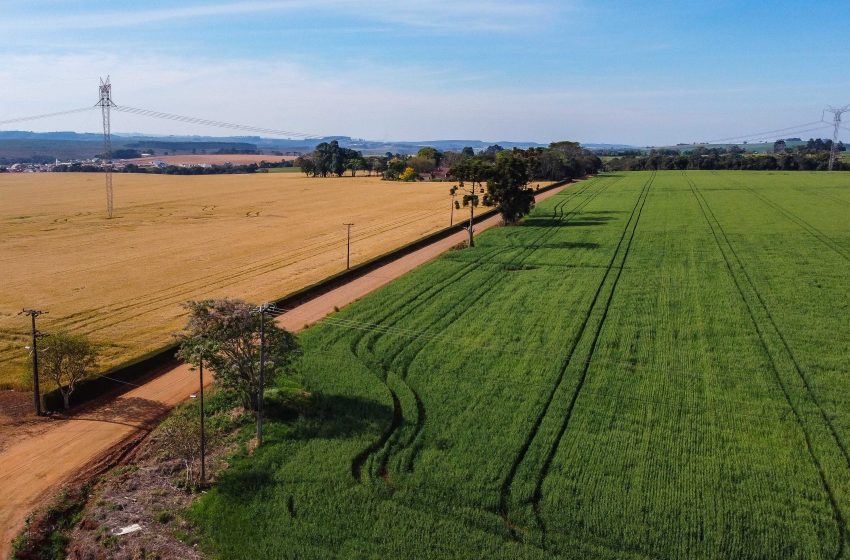 Deral apresenta preços de terras de 2025 no Paraná